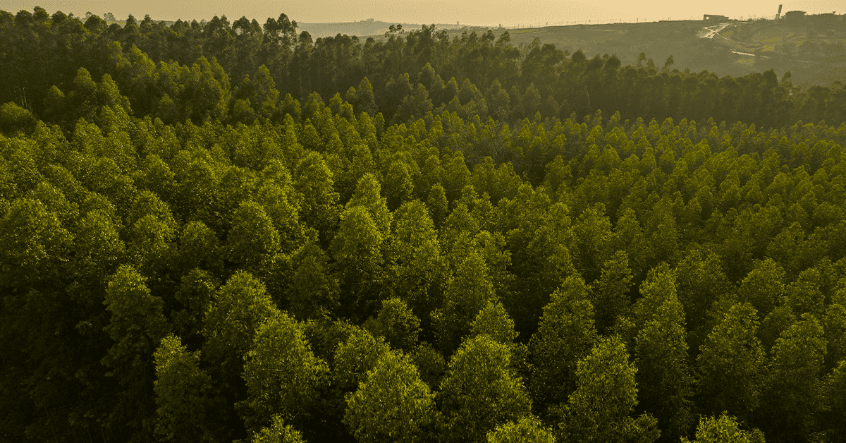 An Introduction to Carbon Capture: What You Need to Know - Verde ...