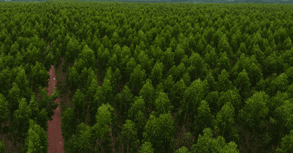 The Top 10 Carbon Capture Technologies Explained - Verde AgriTech ...