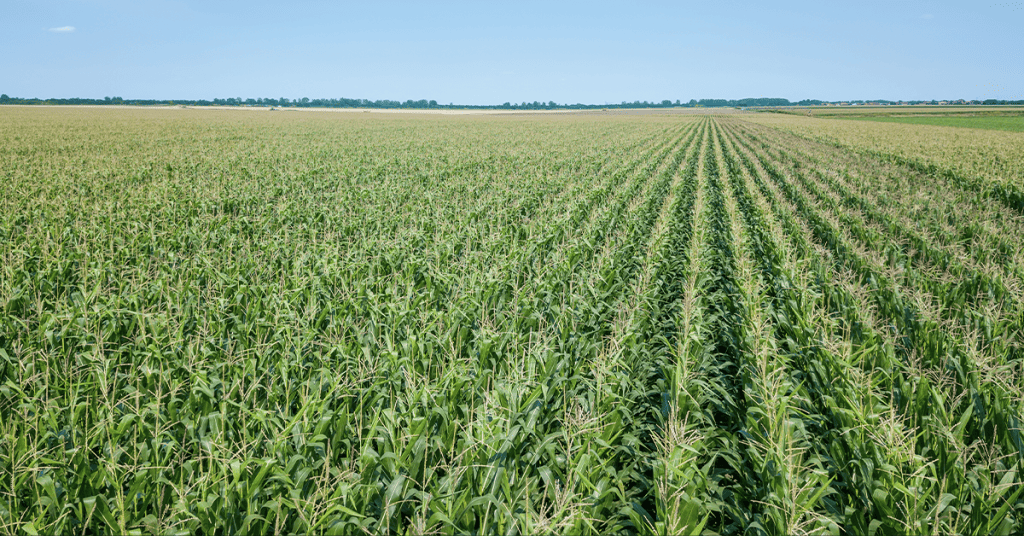 How Direct Air Capture (DAC) Technology Works - Verde AgriTech - Blog ...