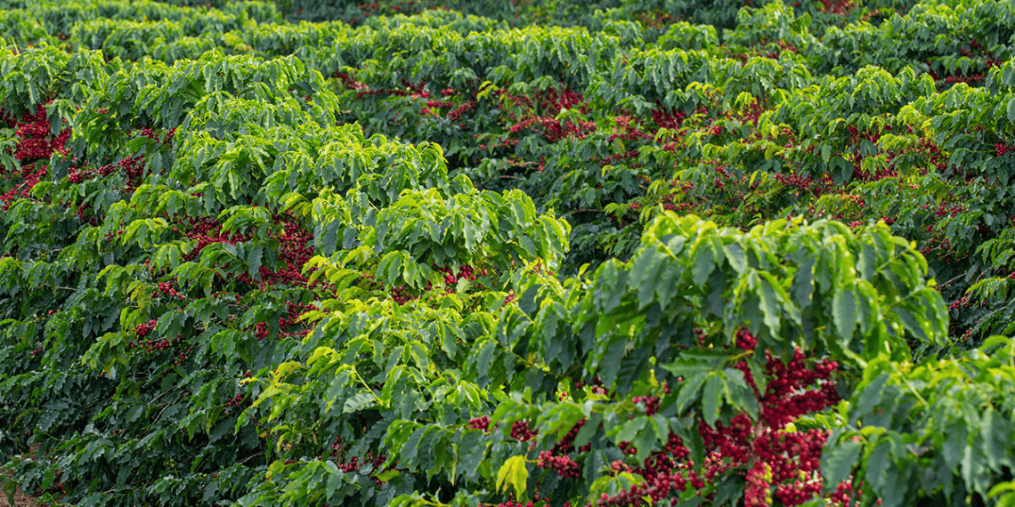 Carbon Capture Stocks: A Guide to Publicly Traded Companies - Verde ...