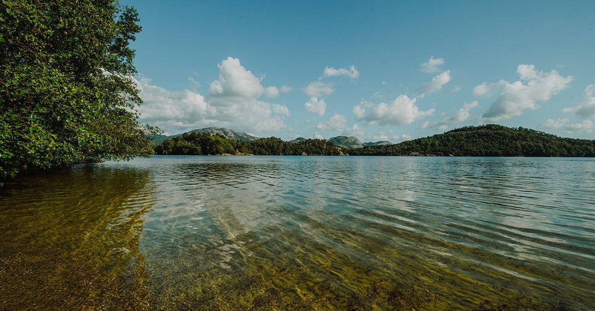 ERW and Water Quality: Impacts on Freshwater and Coastal Ecosystems ...