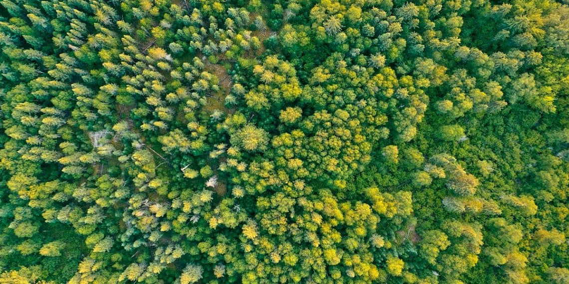 Enhanced Rock Weathering (ERW): An Introduction - Verde AgriTech - Blog ...