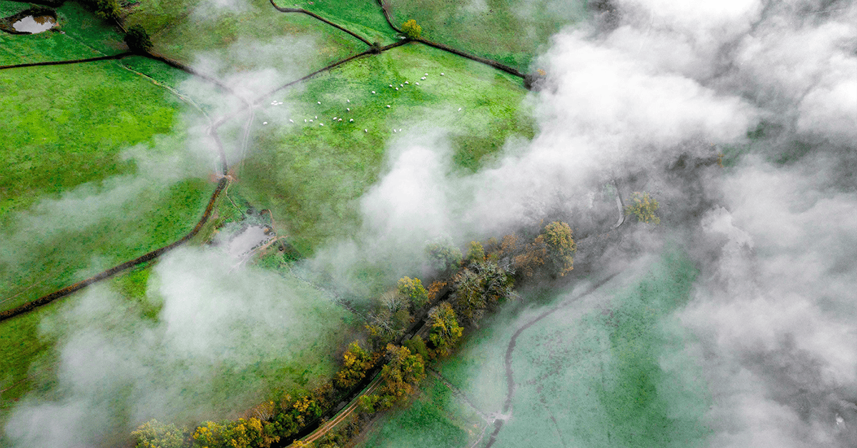 Exploring the Scalability of Carbon Capture Solutions - Verde AgriTech ...