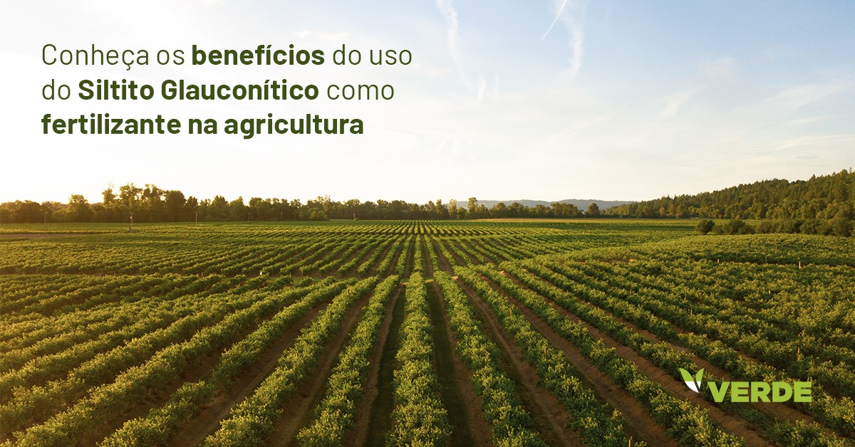 Conheça todos os benefícios do uso do Siltito Glauconítico como ...
