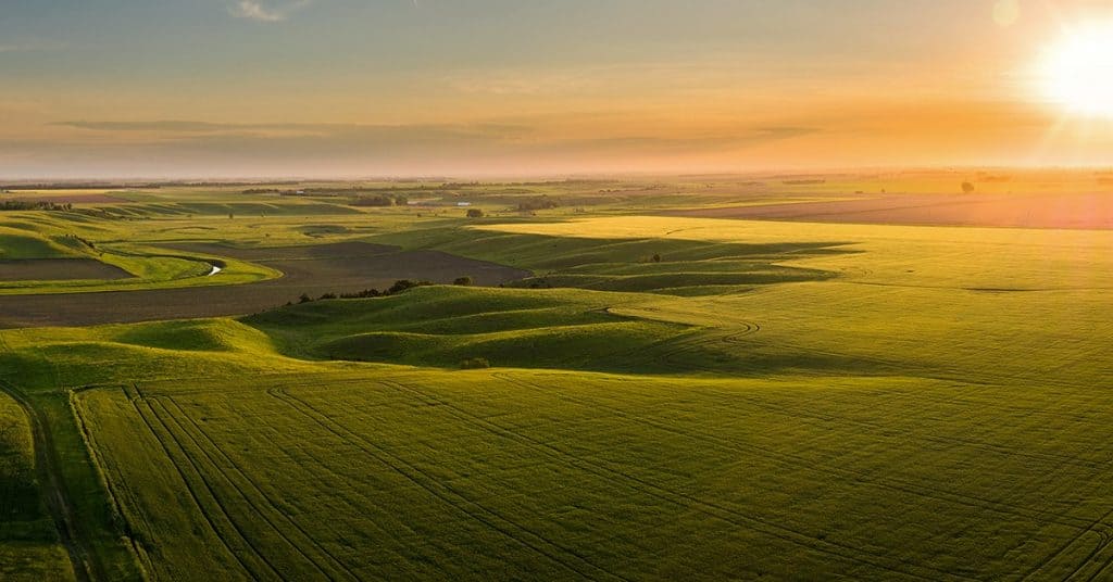 Boro: entenda mais sobre esse nutriente e seus benefícios para agricultura