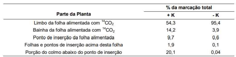 Como o potássio atua no metabolismo e transporte de carboidratos nas ...