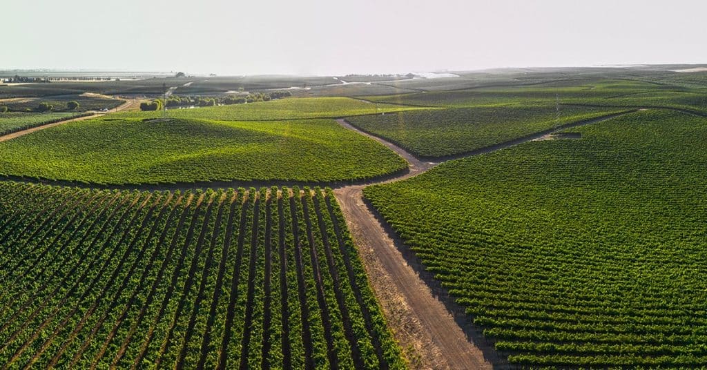 Agricultores de sucesso do Brasil contam sobre sua experiência com o ...
