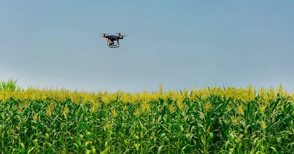 Como o uso do drone pulverizador ajuda no manejo agrícola?