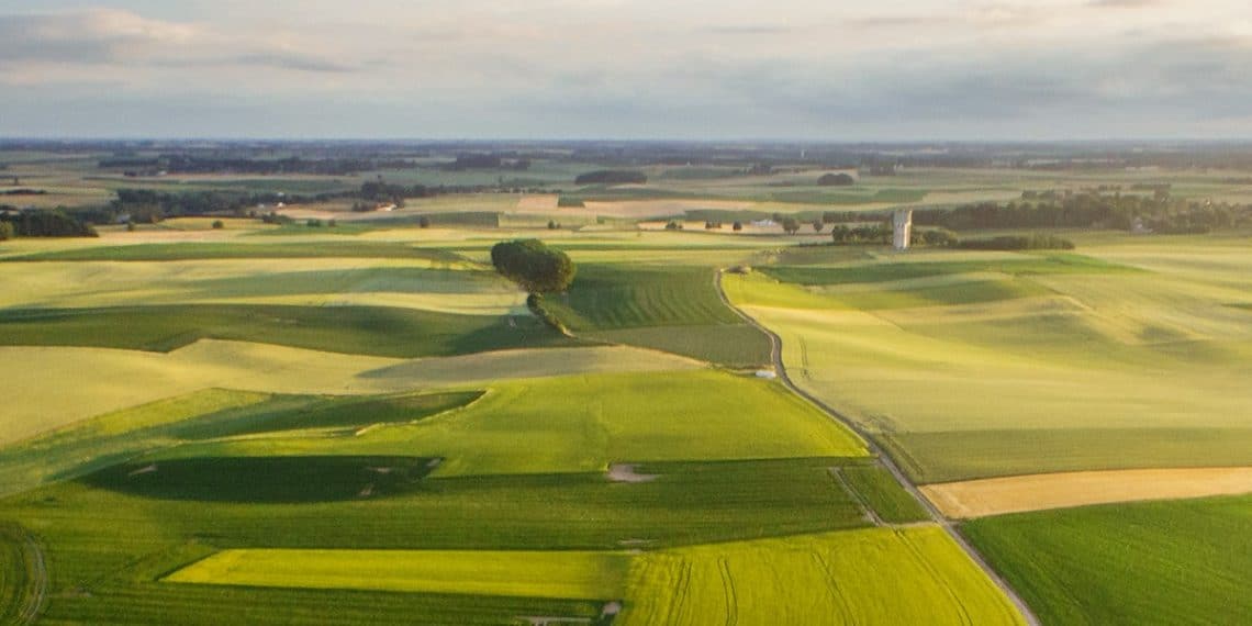 Entenda o que é o K Forte® e quais benefícios o fertilizante ...