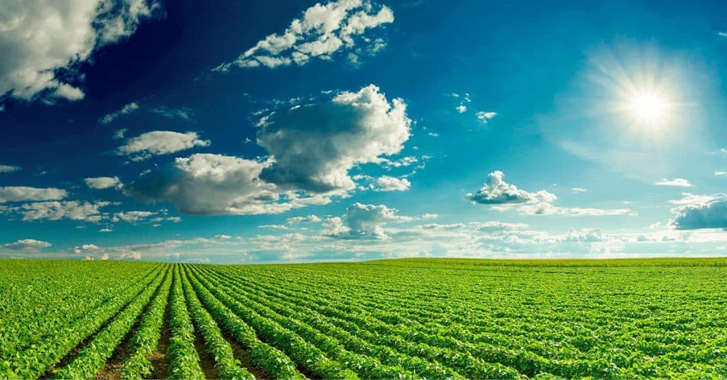 Veja os textos publicados no Blog da Verde Agritech na semana do dia 06 ...